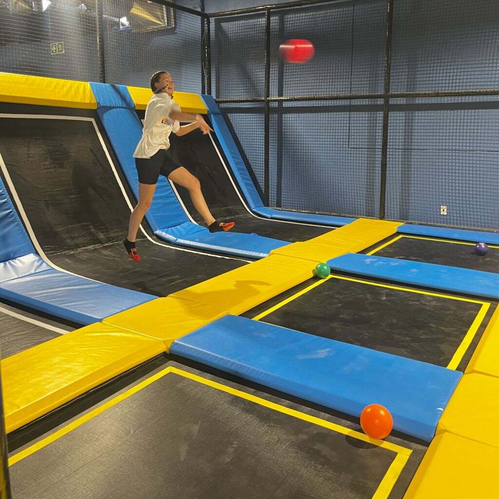 Dodgeball Zone - Drouble